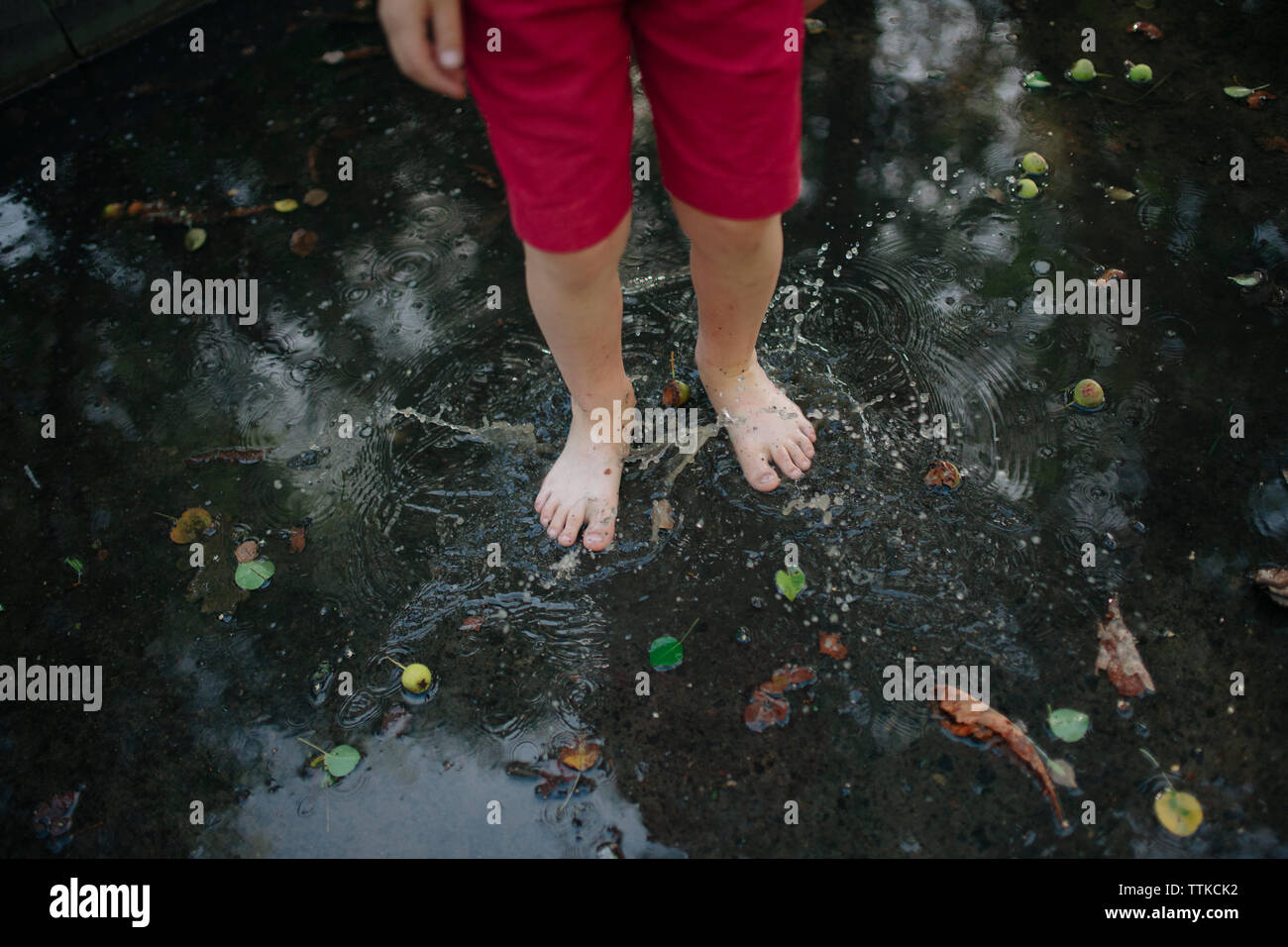 Puddle legs hi-res stock photography and images - Alamy