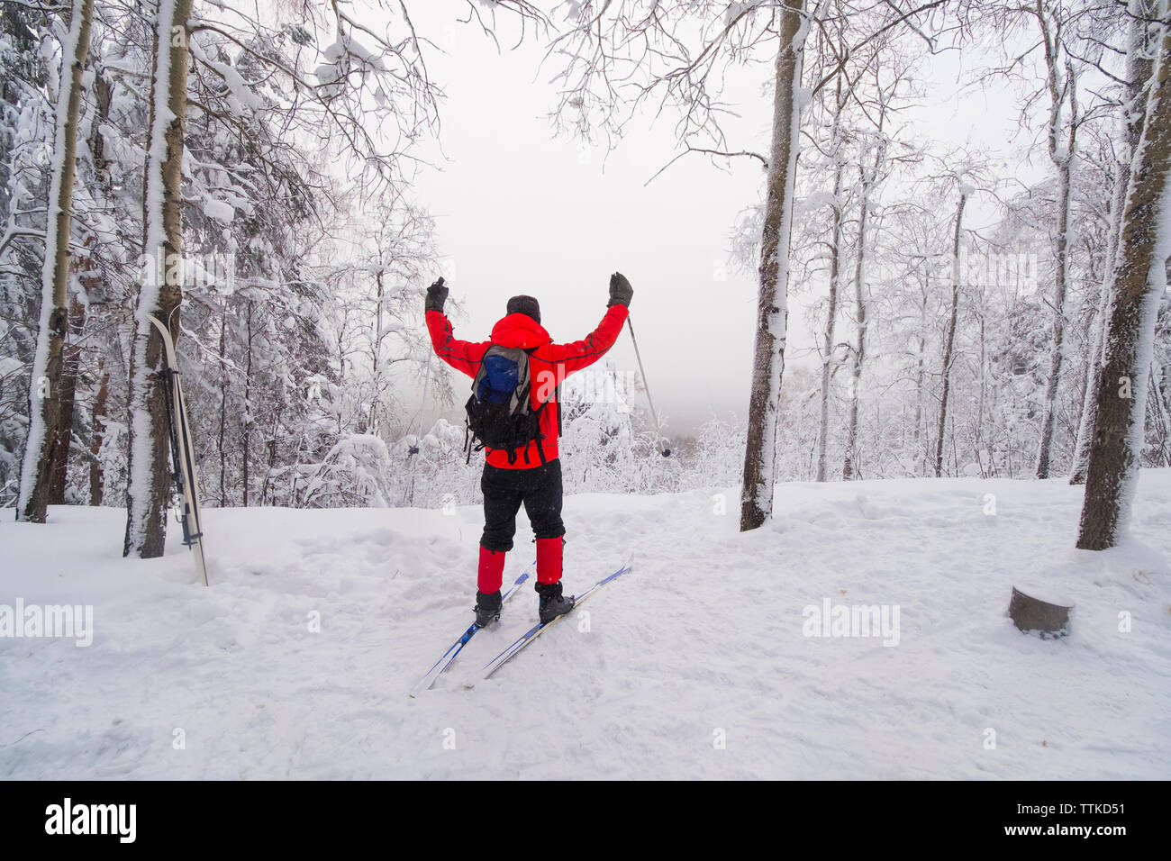 Rear view skier skiing hi-res stock photography and images - Alamy