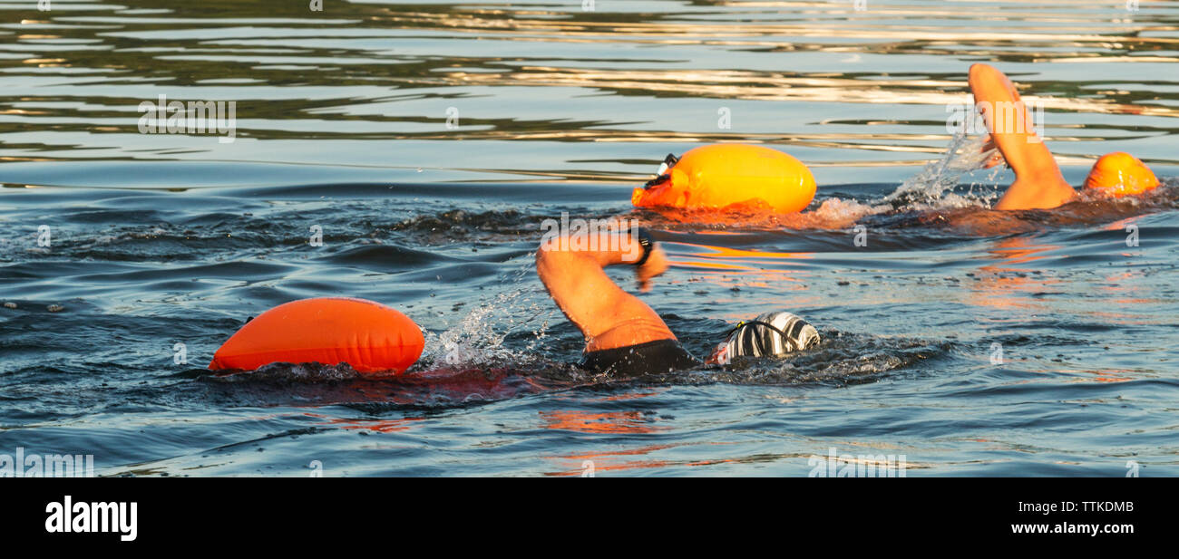 Two people swimming in the long island sound with orange flotation ...