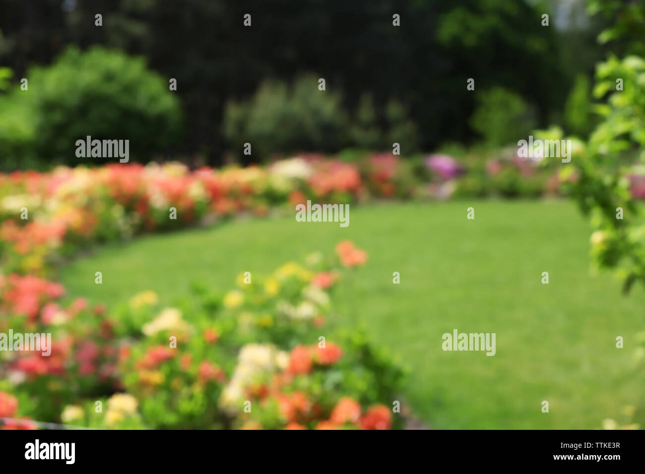 Flower bed with bright colourful flowers in botanical garden Stock ...