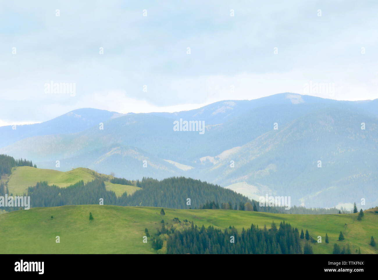 Spring forest on mountain slopes Stock Photo - Alamy