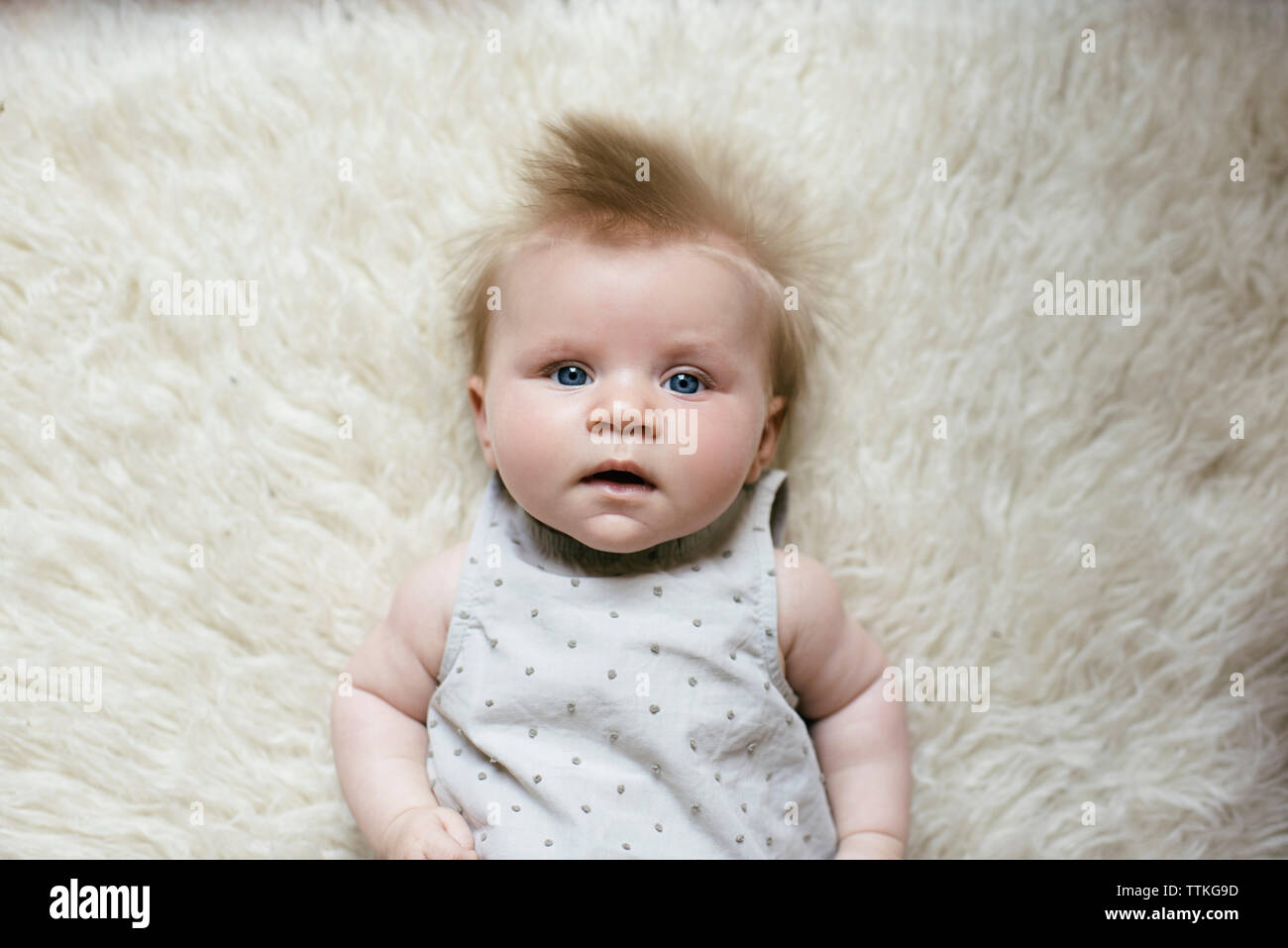 Furry rug hi-res stock photography and images - Alamy