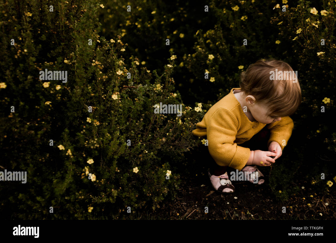 Girl playing with flowers hi-res stock photography and images - Alamy