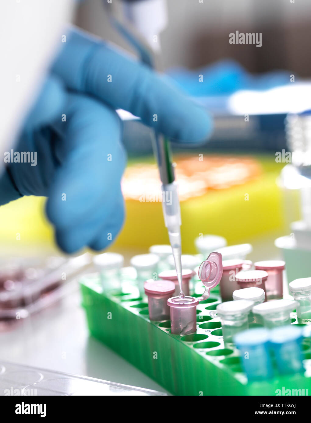 Cropped hand of scientist pipetting sample into eppendorf vials in ...