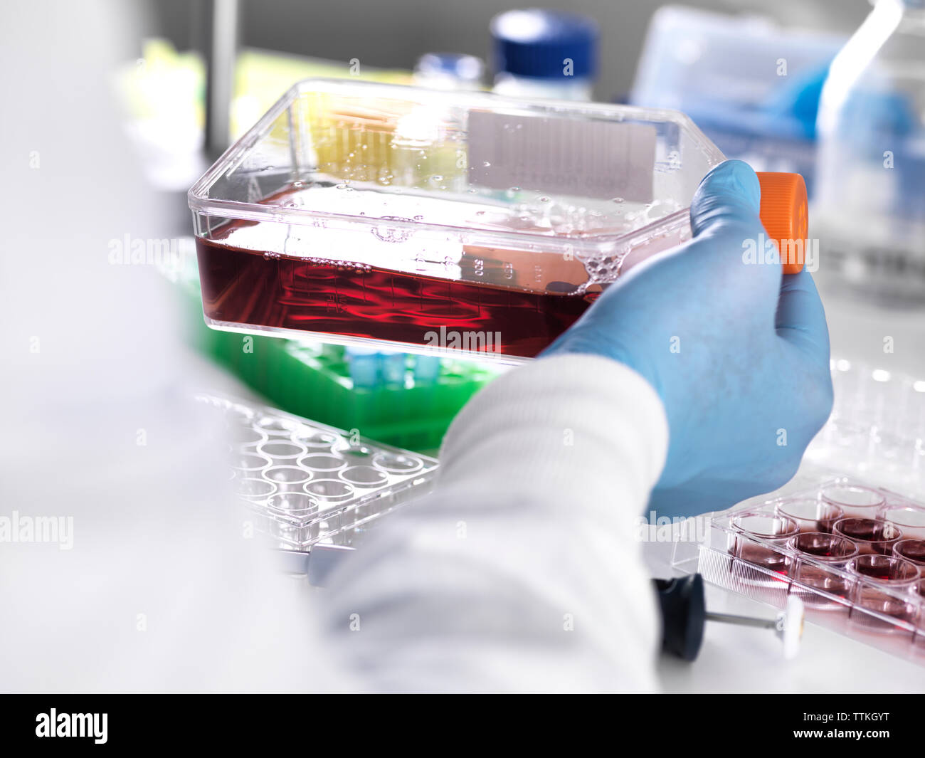 Close-up of laboratory technician holding blood sample in container for ...