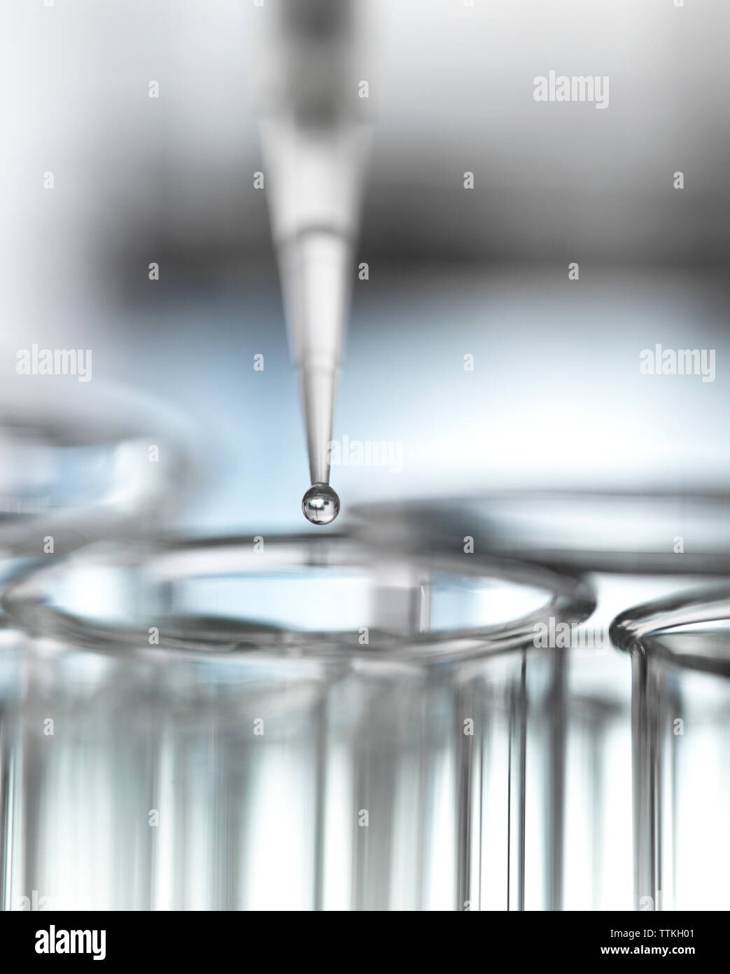 Close-up of sample being pipetted into test tube for analysis in ...