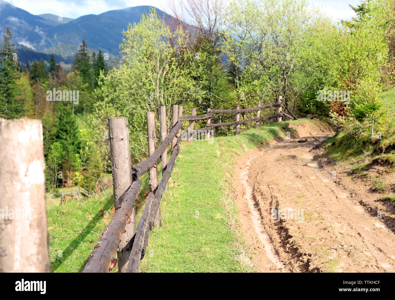 Pathway in mountain forest Stock Photo - Alamy