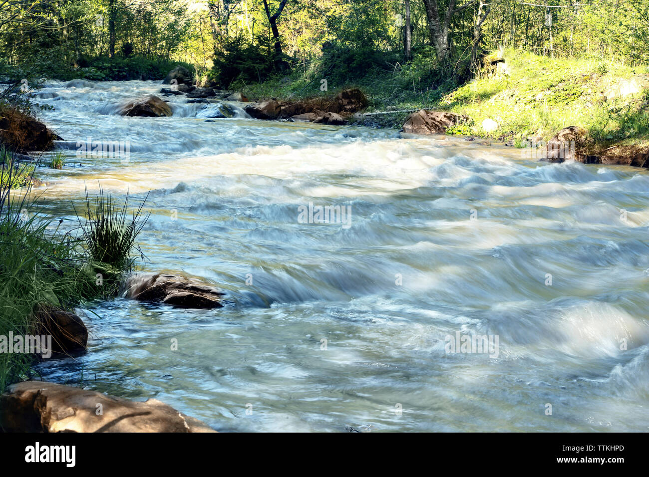 Wide stream in mountain forest Stock Photo - Alamy