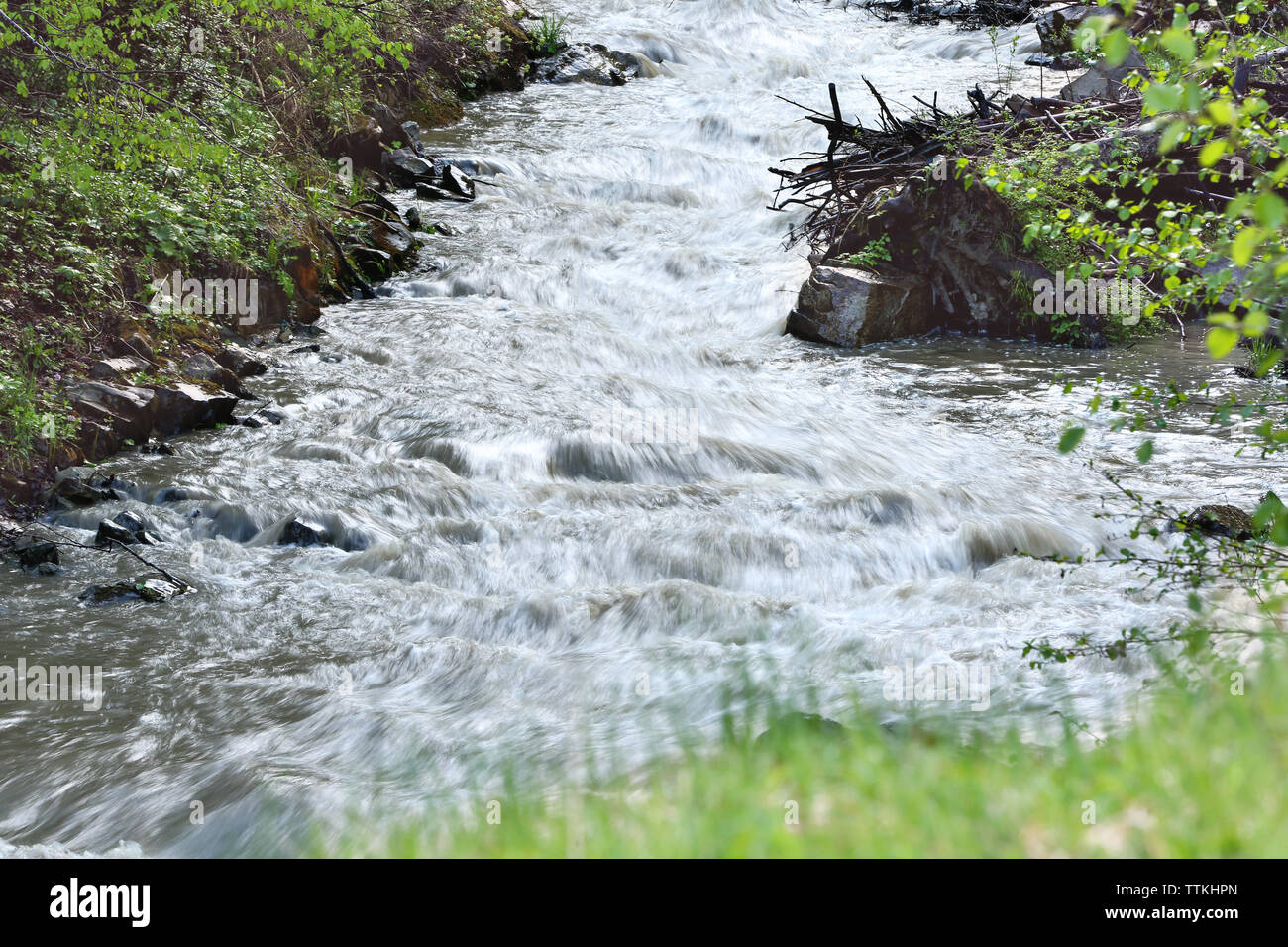 Wide stream in mountain forest Stock Photo - Alamy