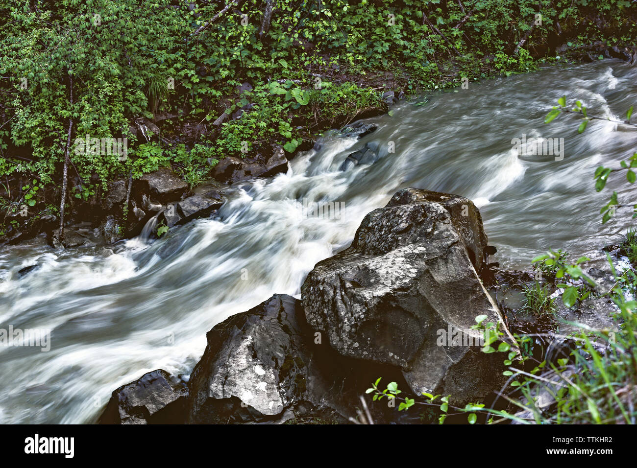 Wide stream in mountain forest Stock Photo - Alamy