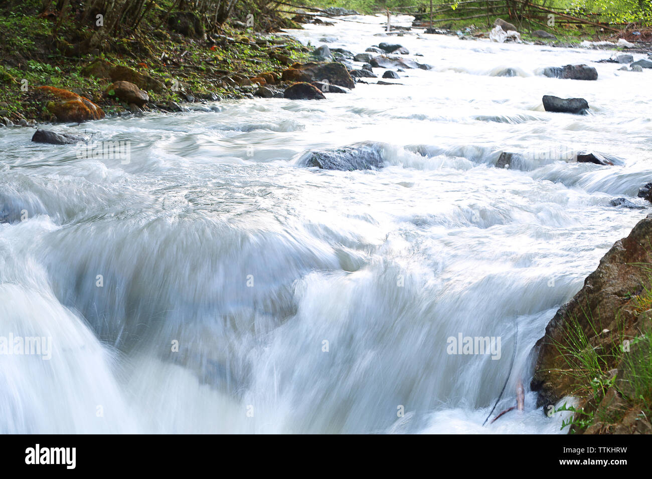 Wide stream in mountain forest Stock Photo - Alamy
