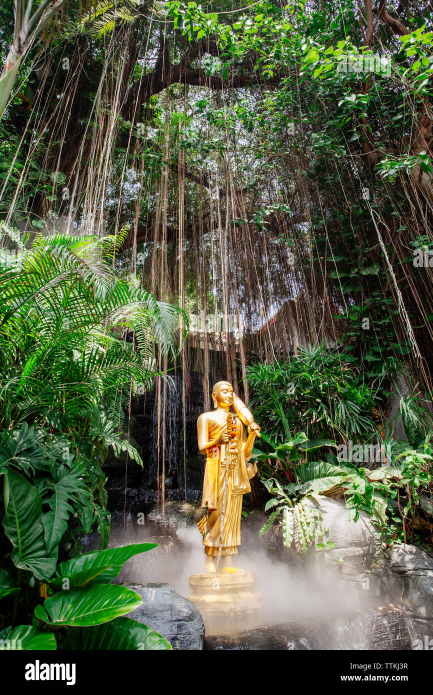 Golden Buddha statue against aerial roots in forest at Wat Saket Stock ...