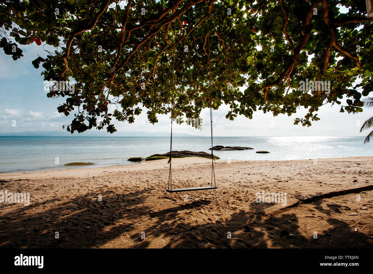 Empty tree swing hi-res stock photography and images - Alamy