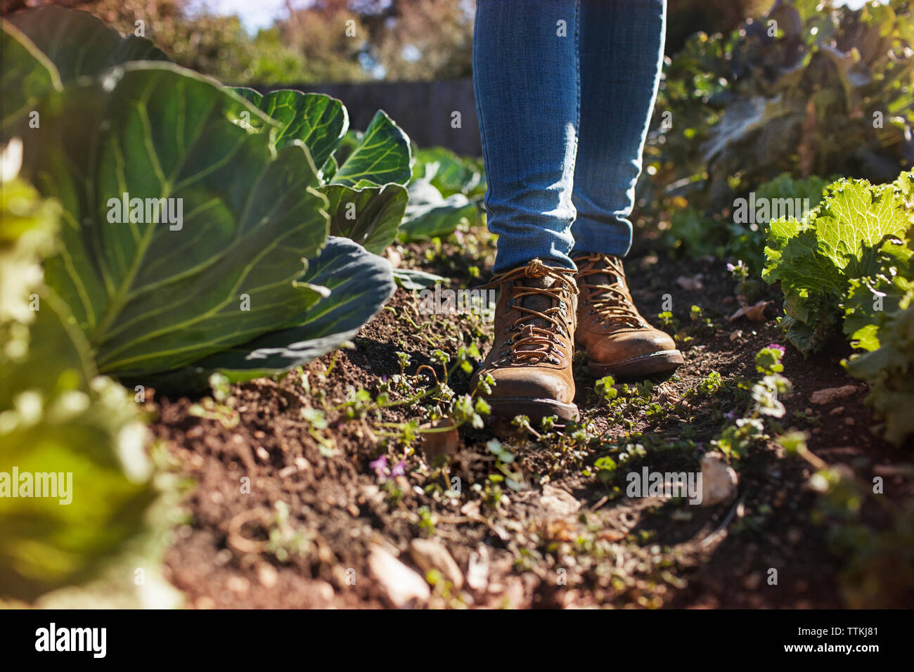 Farmer shoes hi-res stock photography and images - Alamy