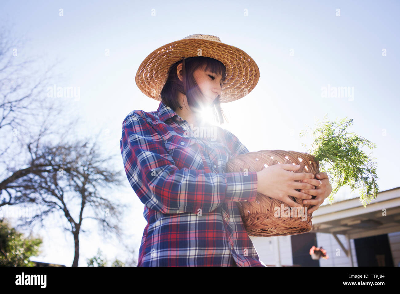 Farmer with back basket hi-res stock photography and images - Alamy