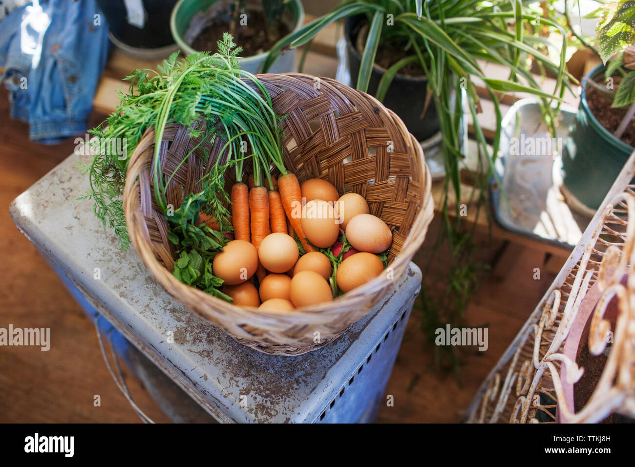 Greenhouse vegetables overhead hi-res stock photography and images - Alamy