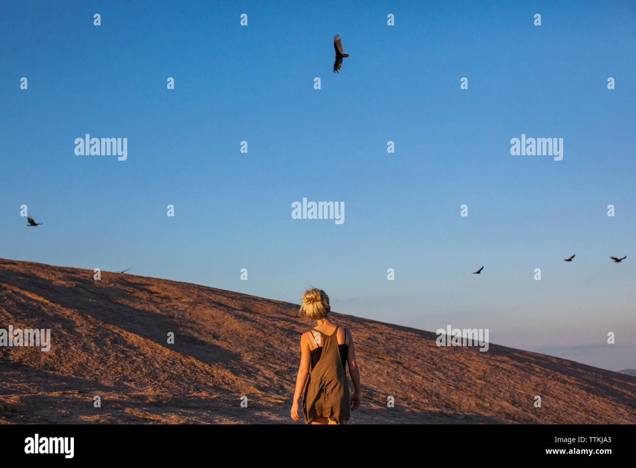 Person watching birds hi-res stock photography and images - Alamy