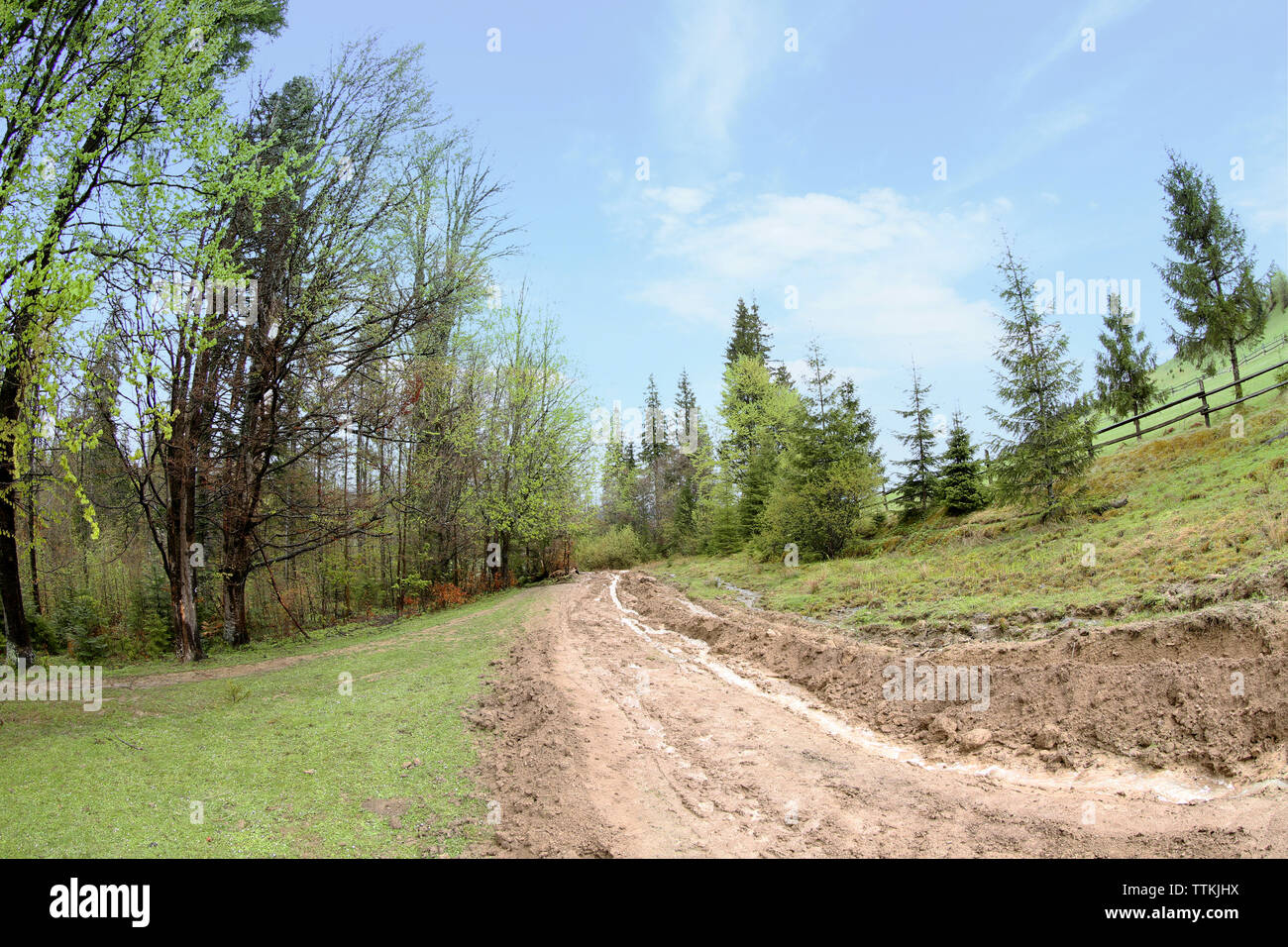 Pathway in mountain forest Stock Photo - Alamy