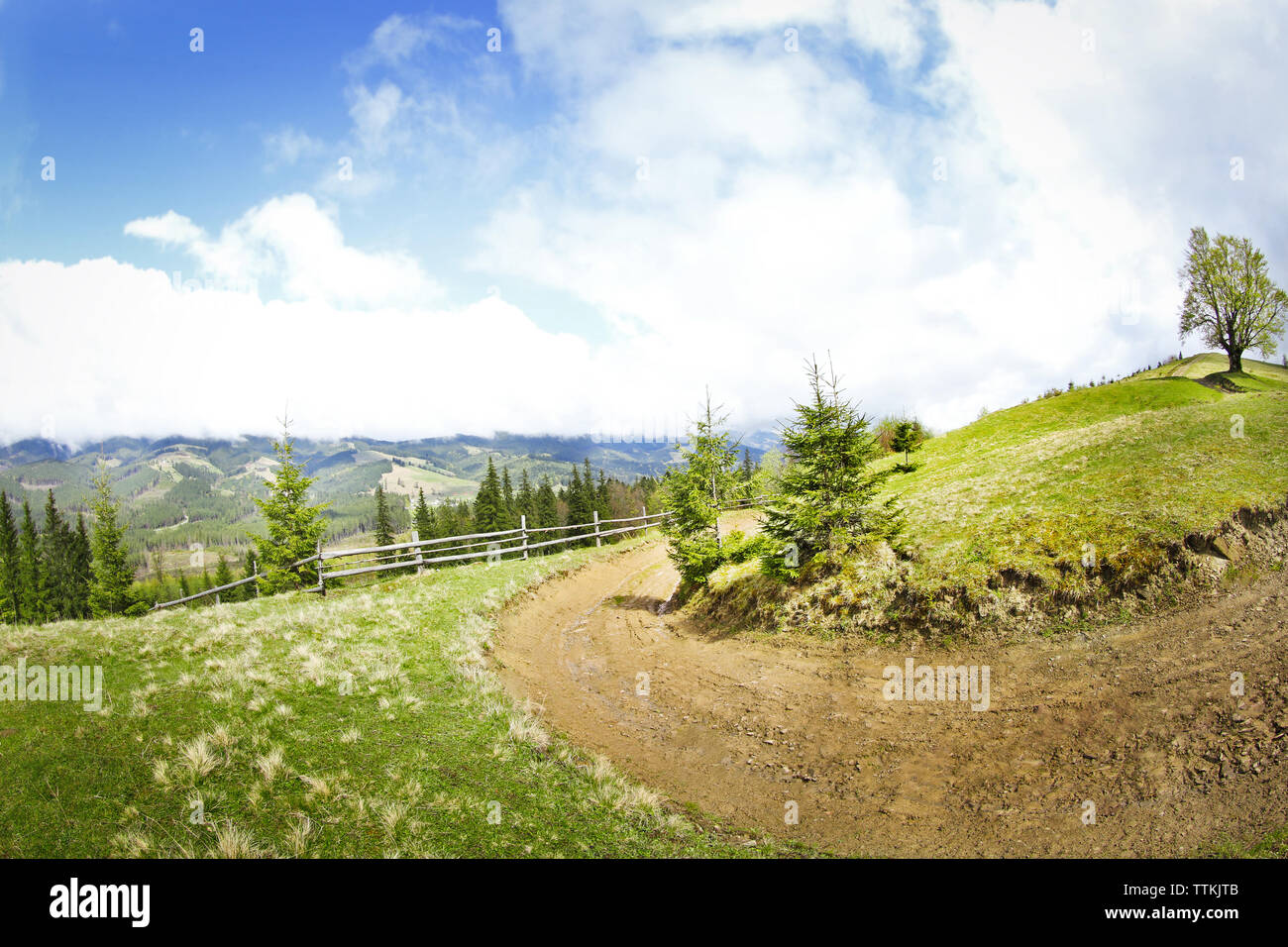 Pathway in mountain forest Stock Photo - Alamy