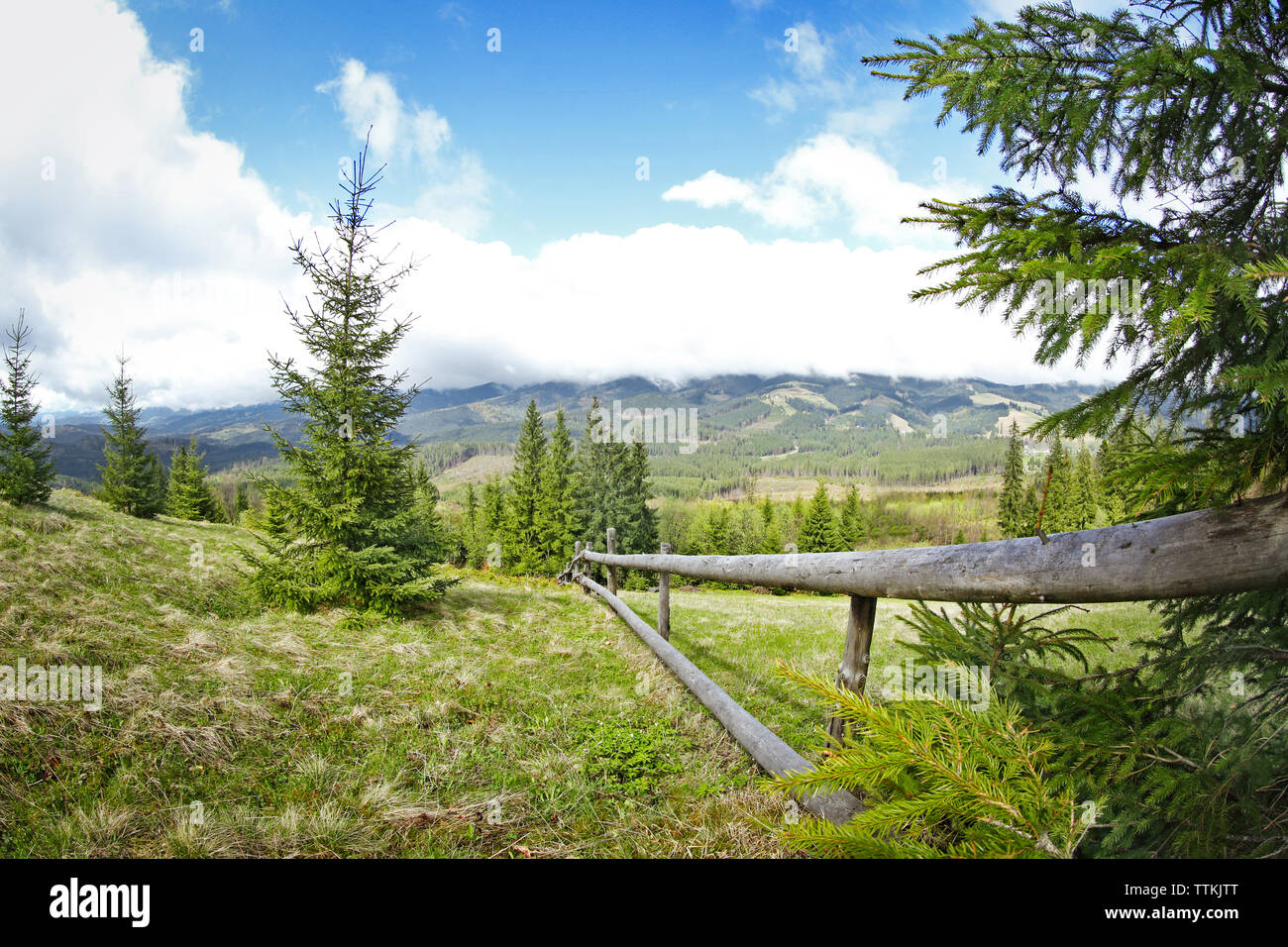 Wooden fence on mountain forest background Stock Photo - Alamy