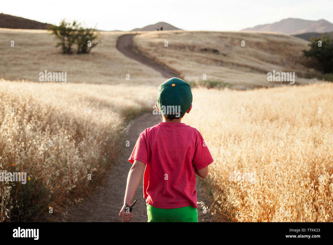 Boy standing rear view landscape hi-res stock photography and images ...