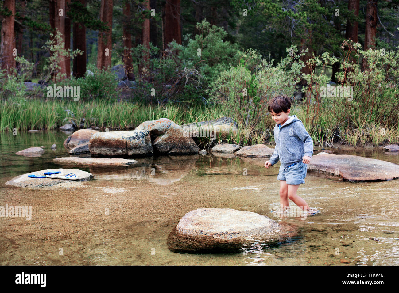 Boy wading through stream against trees Stock Photo - Alamy