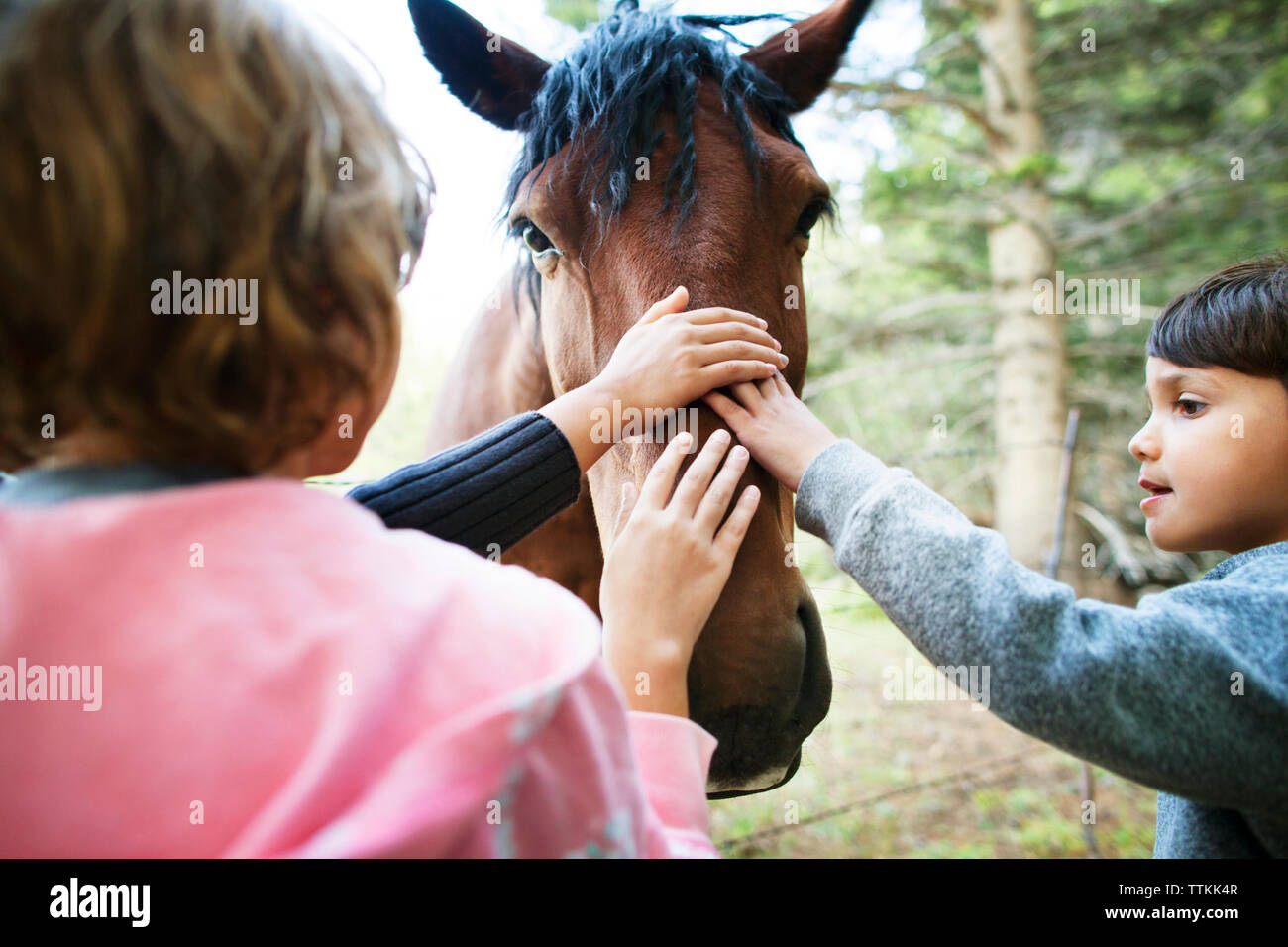 Human animal touching hi-res stock photography and images - Alamy