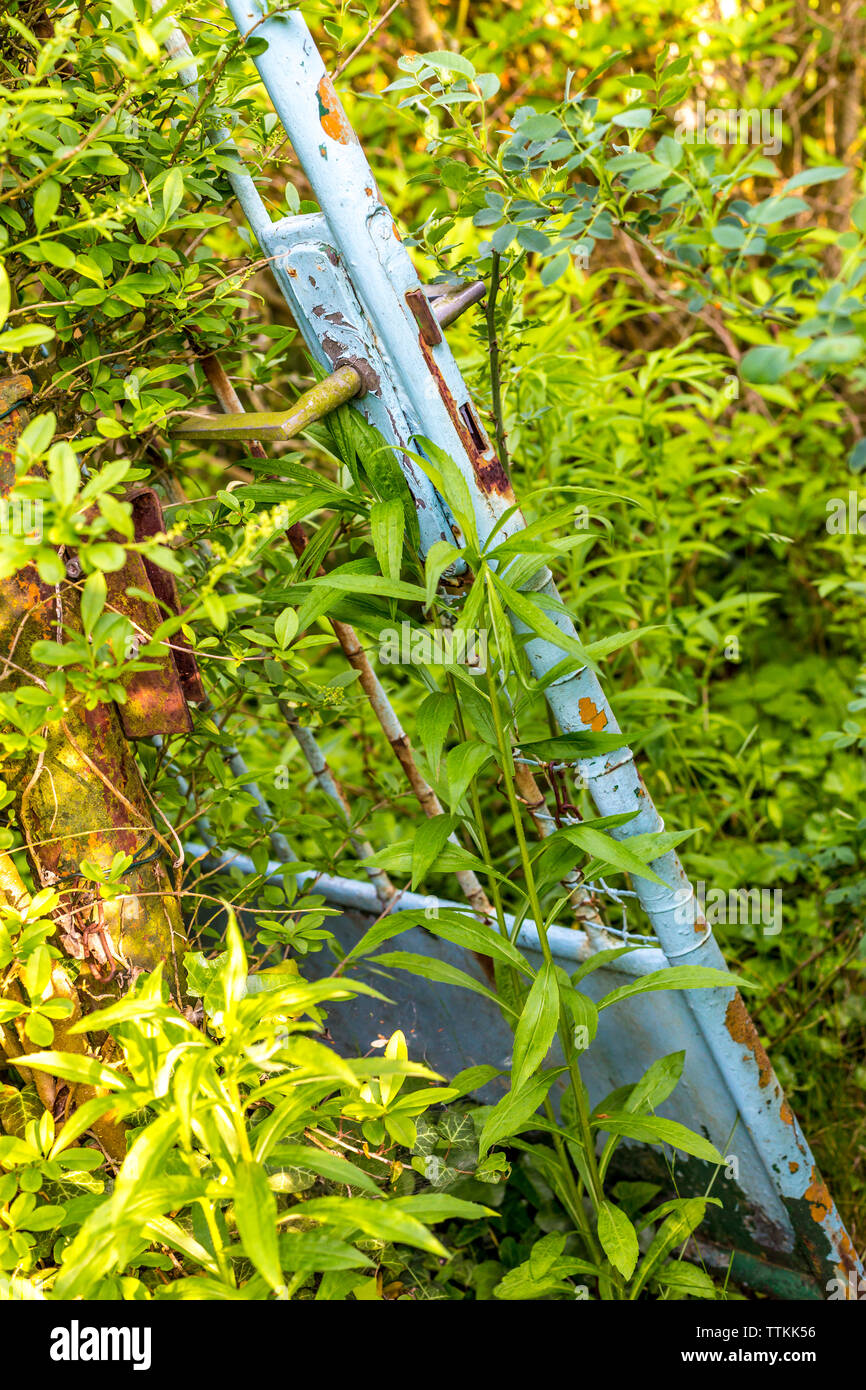 Weathered metal garden gate of an abandoned allotment fallen of hinges ...