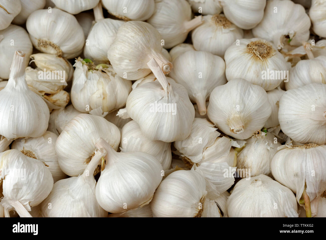Garlic roots hi-res stock photography and images - Alamy