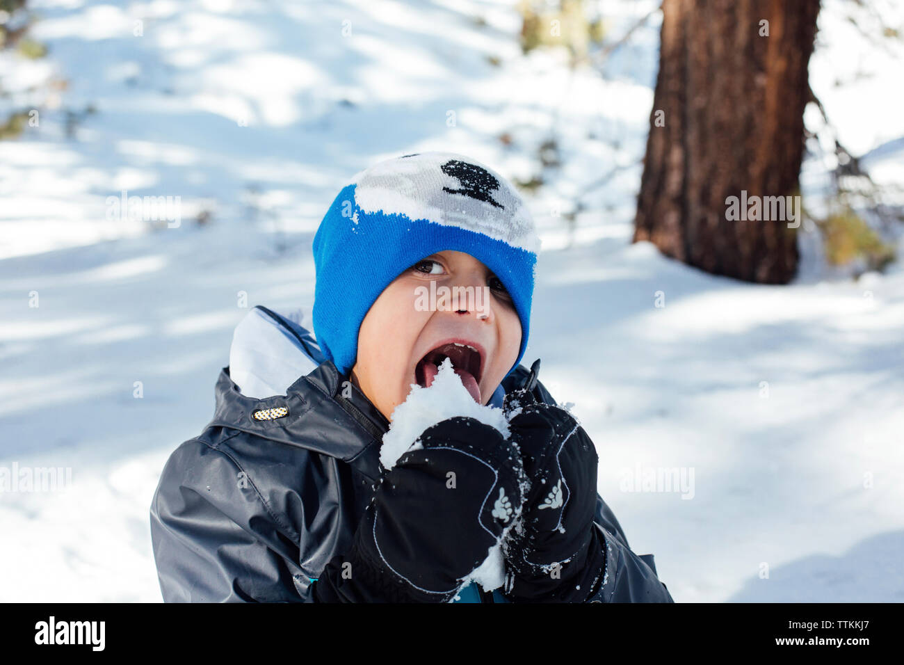 High angle portrait of boy eating snow in forest Stock Photo - Alamy