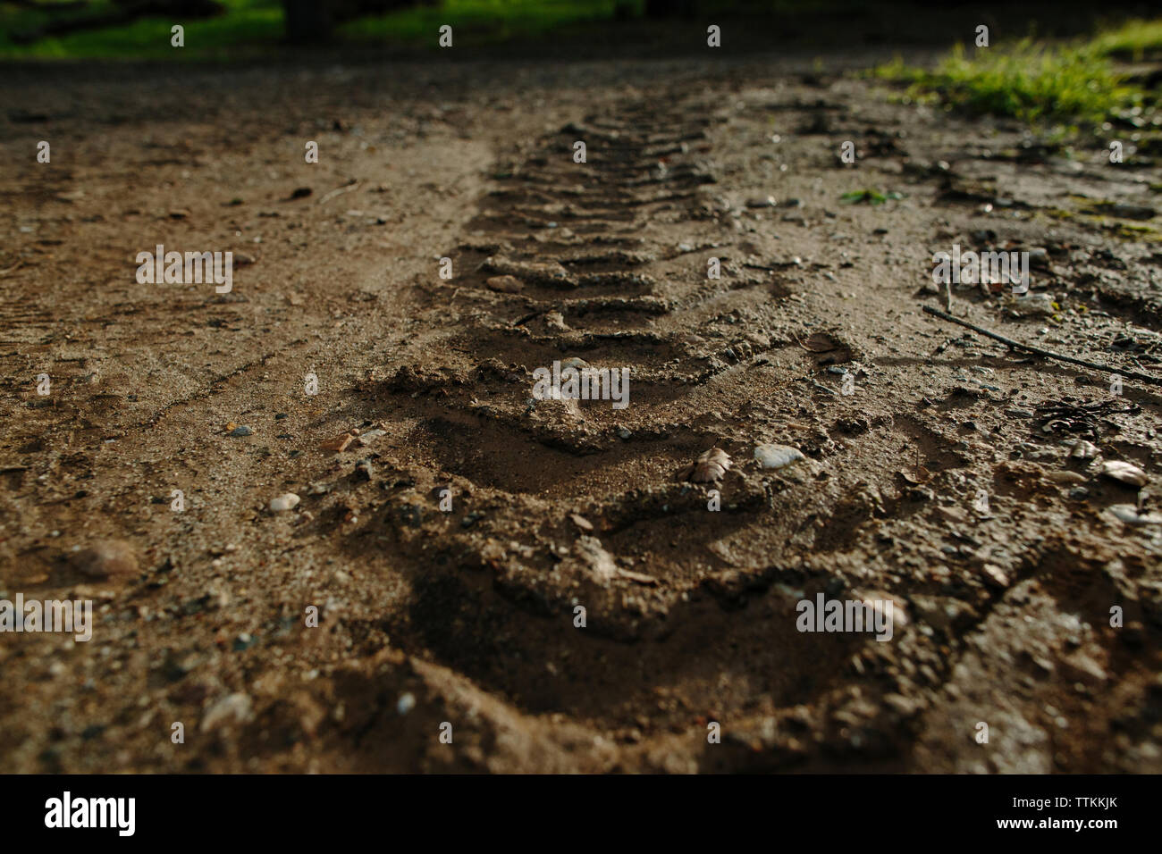 Mud field wet hi-res stock photography and images - Alamy