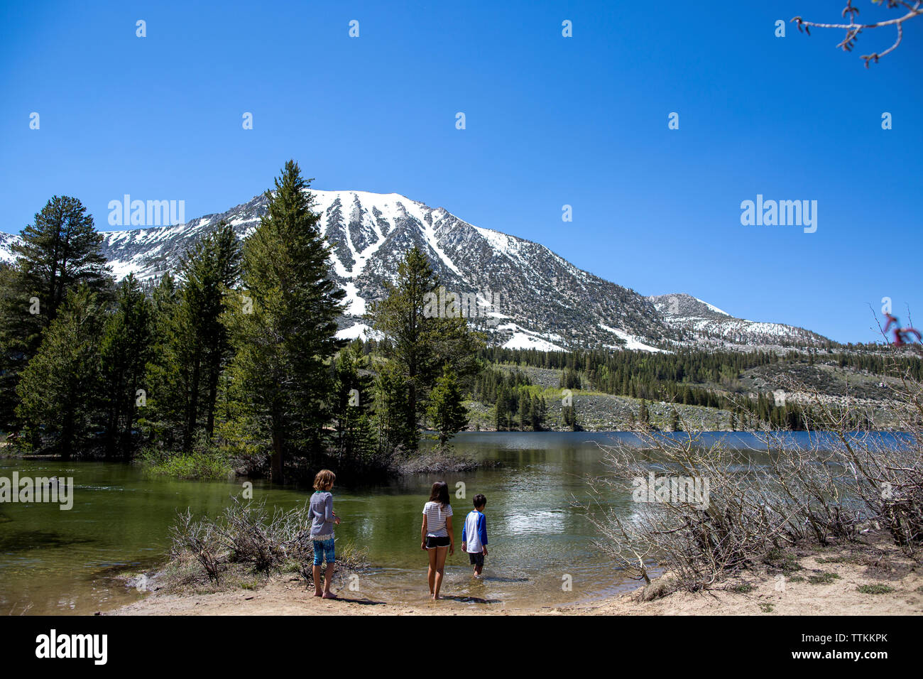 Inyo national forest hi-res stock photography and images - Alamy
