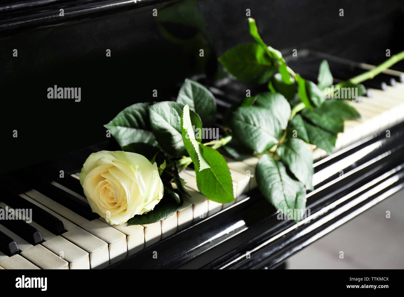 Piano And Rose Background