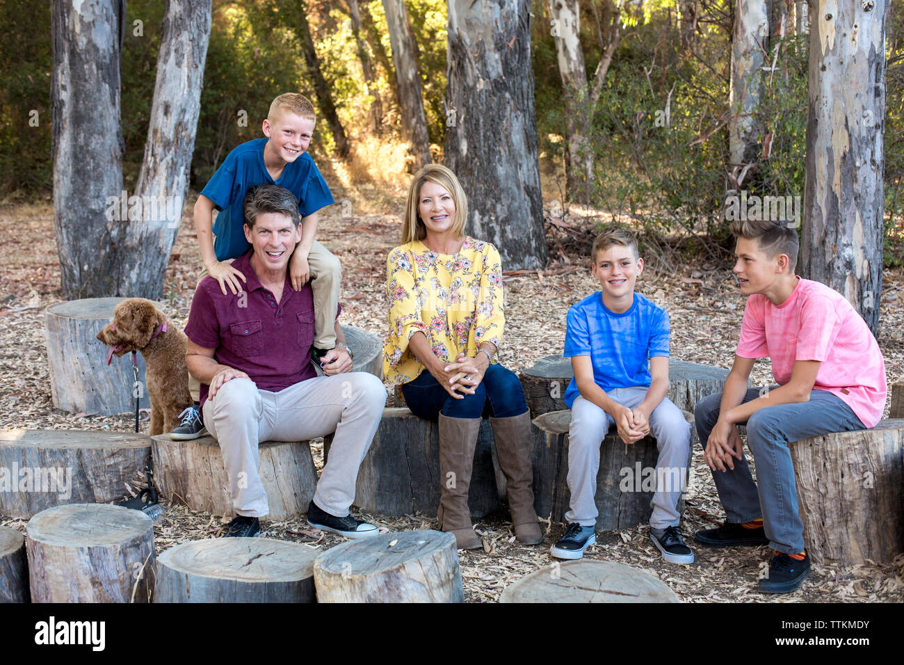 Sit on tree hi-res stock photography and images - Alamy