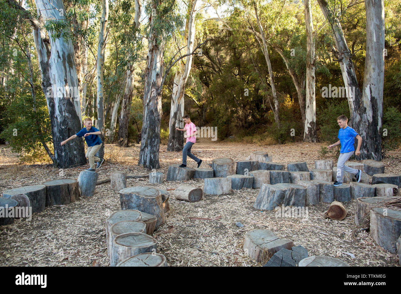 Three boys race on top of tree stumps Stock Photo - Alamy