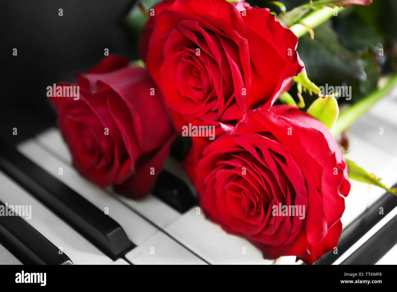 Beautiful bunch of red rose on piano keys, close up Stock Photo - Alamy