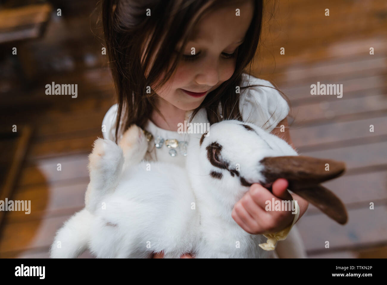 High angle view of cute girl holding rabbit Stock Photo - Alamy