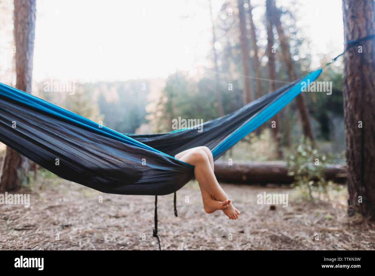 Low section of girl in hammock at campsite Stock Photo - Alamy