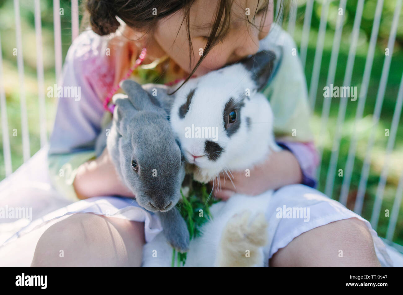 Two baby rabbits outdoors hi-res stock photography and images - Alamy
