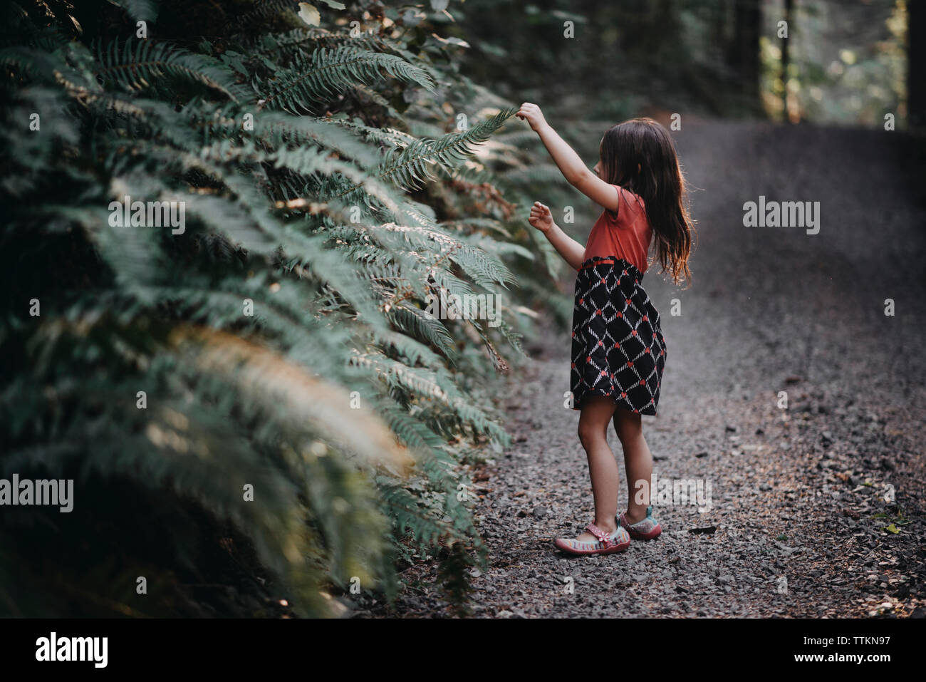 Girl looking into the forest hi-res stock photography and images - Alamy