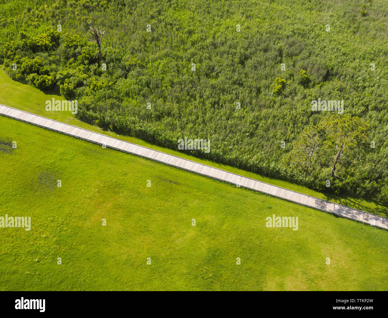 Overhead view of boardwalk amidst green landscape Stock Photo - Alamy