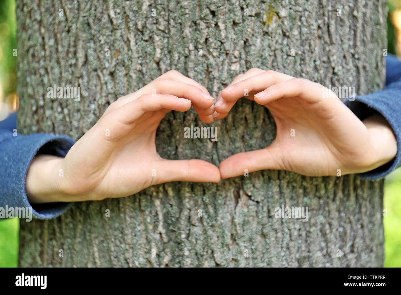 Female hands hugging tree Stock Photo - Alamy