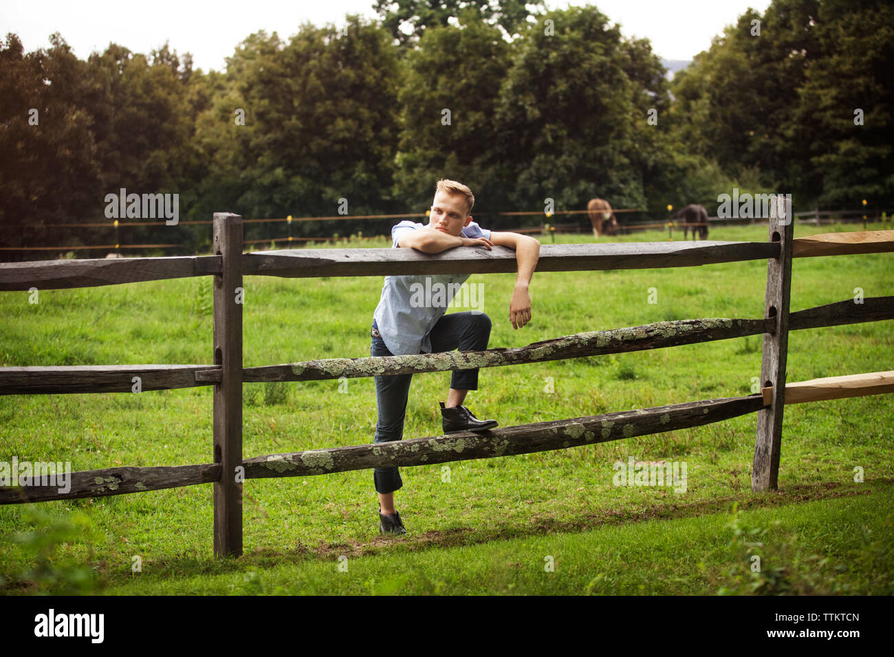 Old man leaning fence hi-res stock photography and images - Alamy
