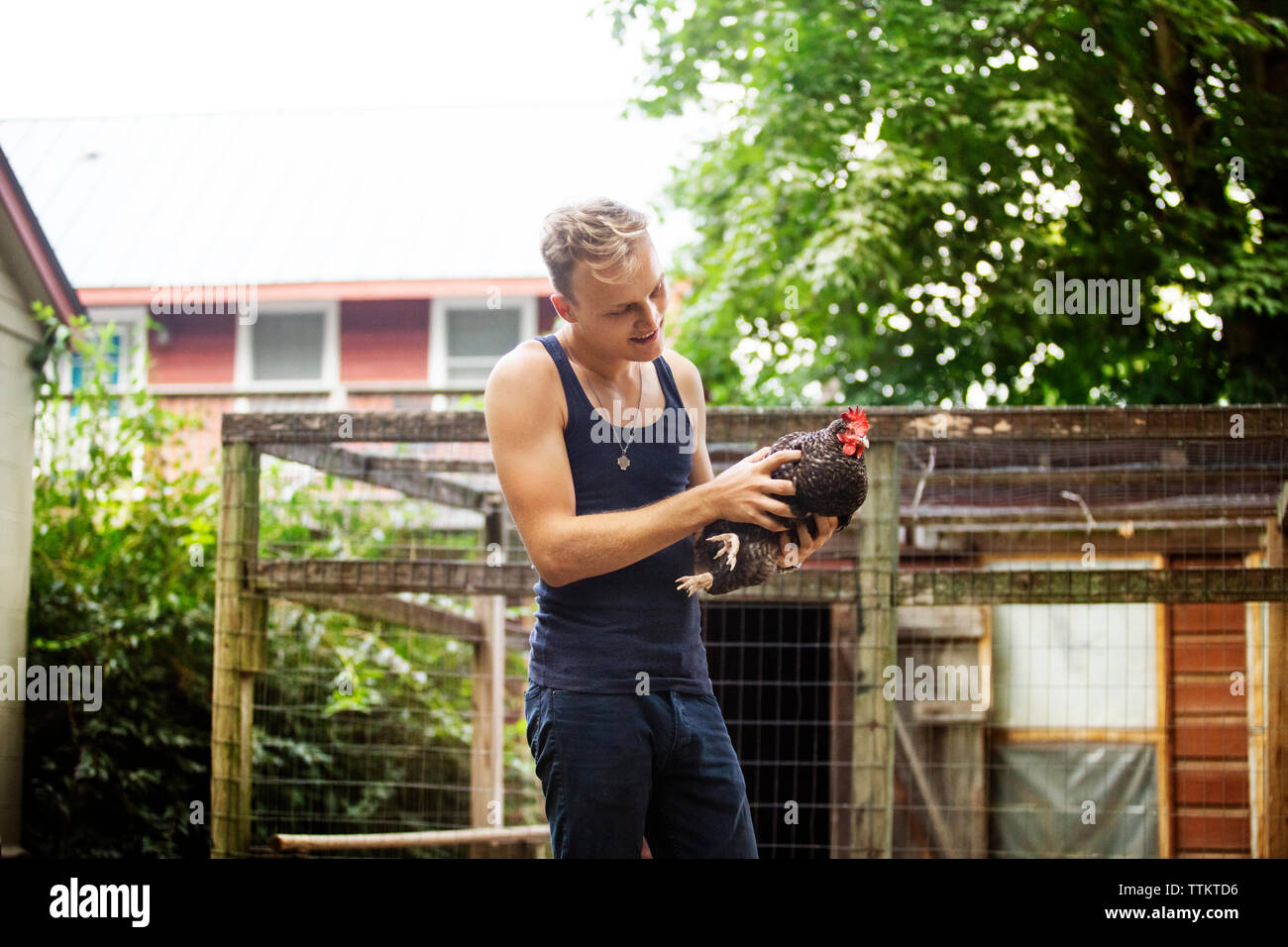 Young worker poultry farm hi-res stock photography and images - Alamy