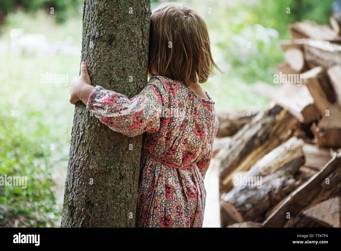 Girl and tree hi-res stock photography and images - Alamy