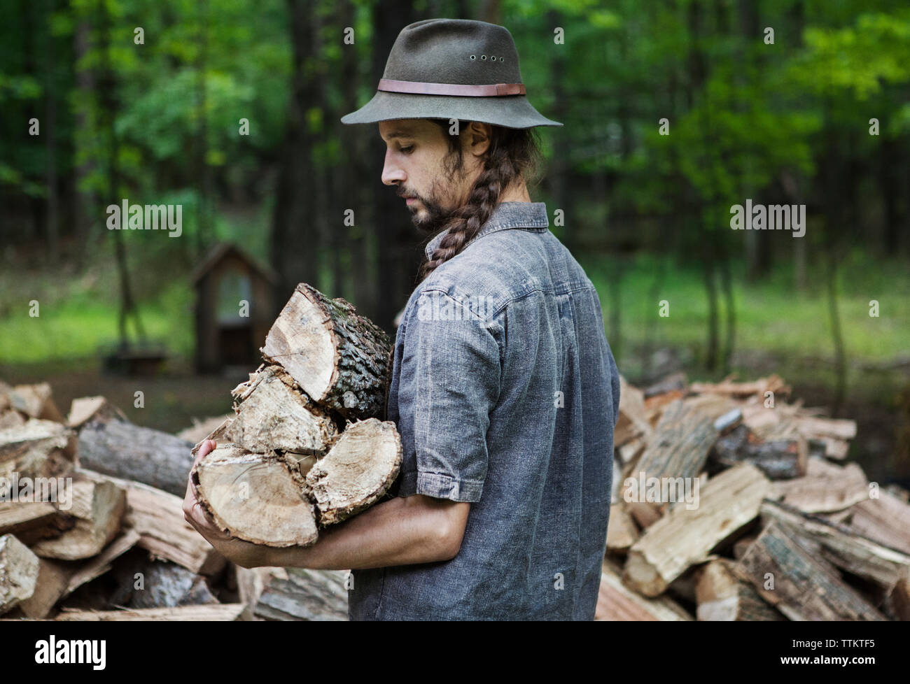 Man carrying firewood in forest Stock Photo - Alamy