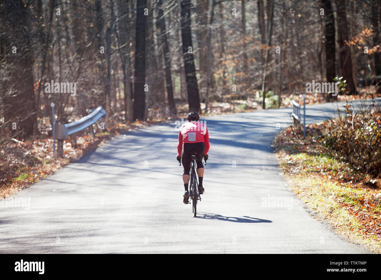 Person riding bicycle on road rear view hi-res stock photography and ...