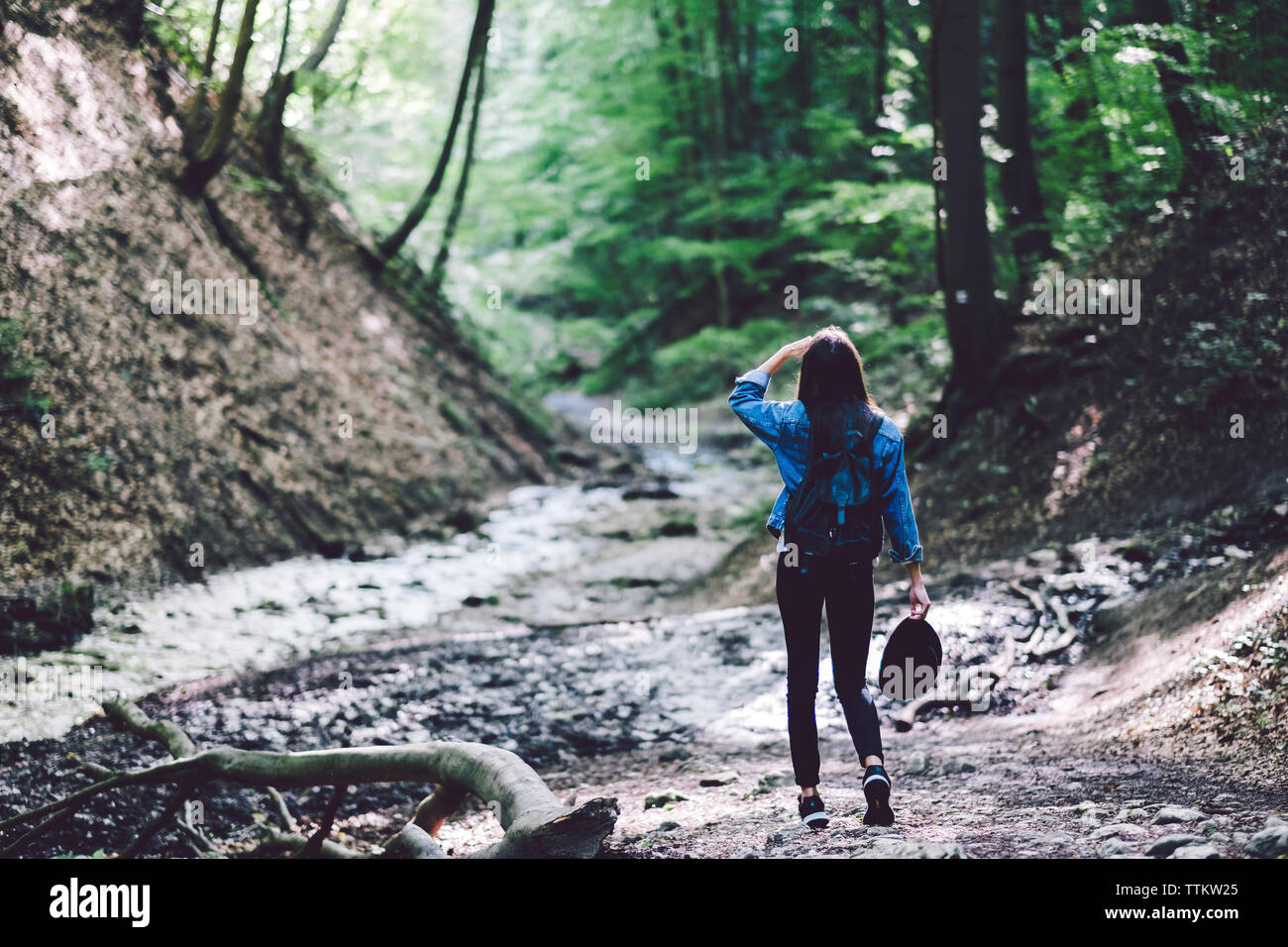 Exploring nature hi-res stock photography and images - Alamy