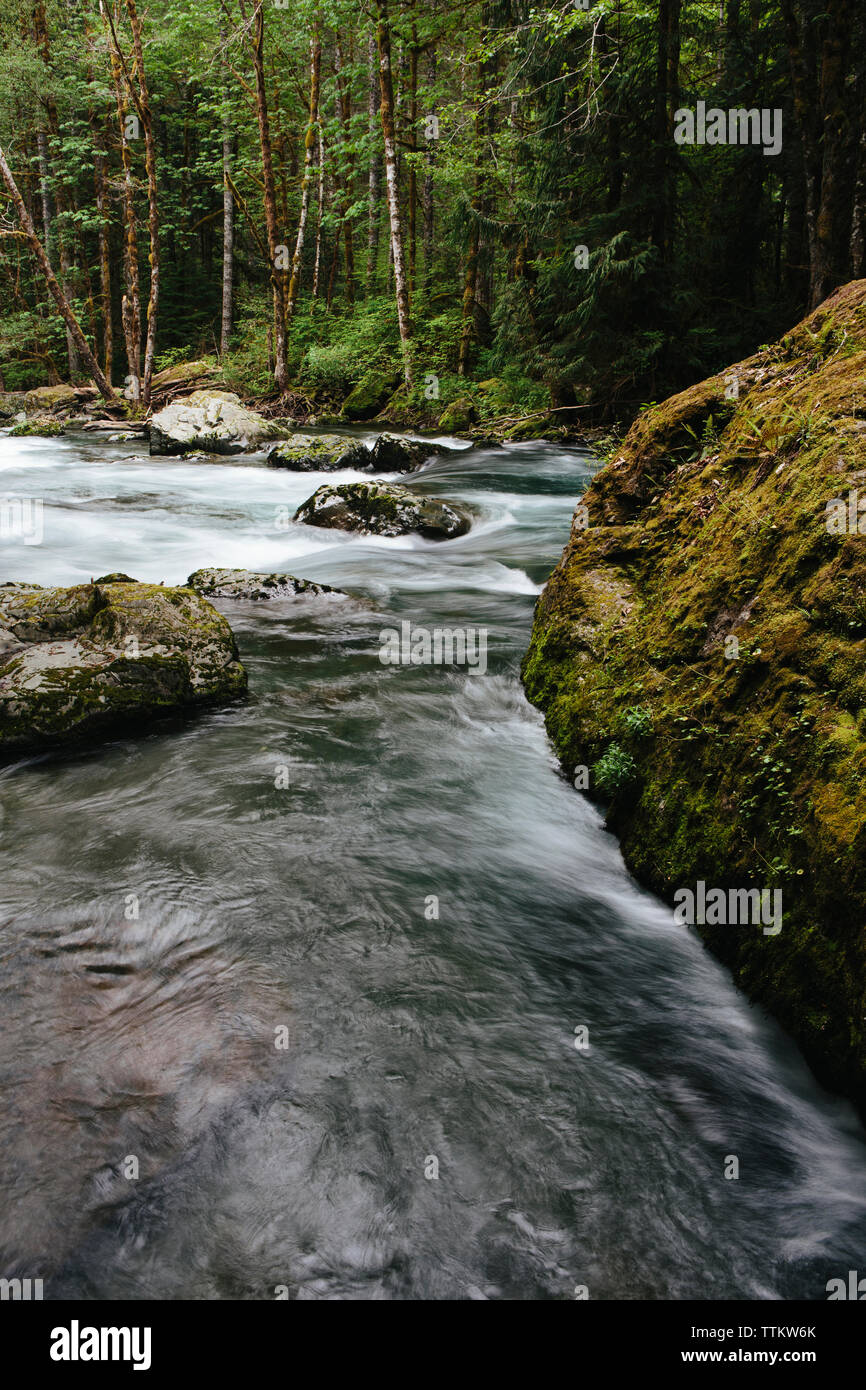 Sol duc river hi-res stock photography and images - Alamy