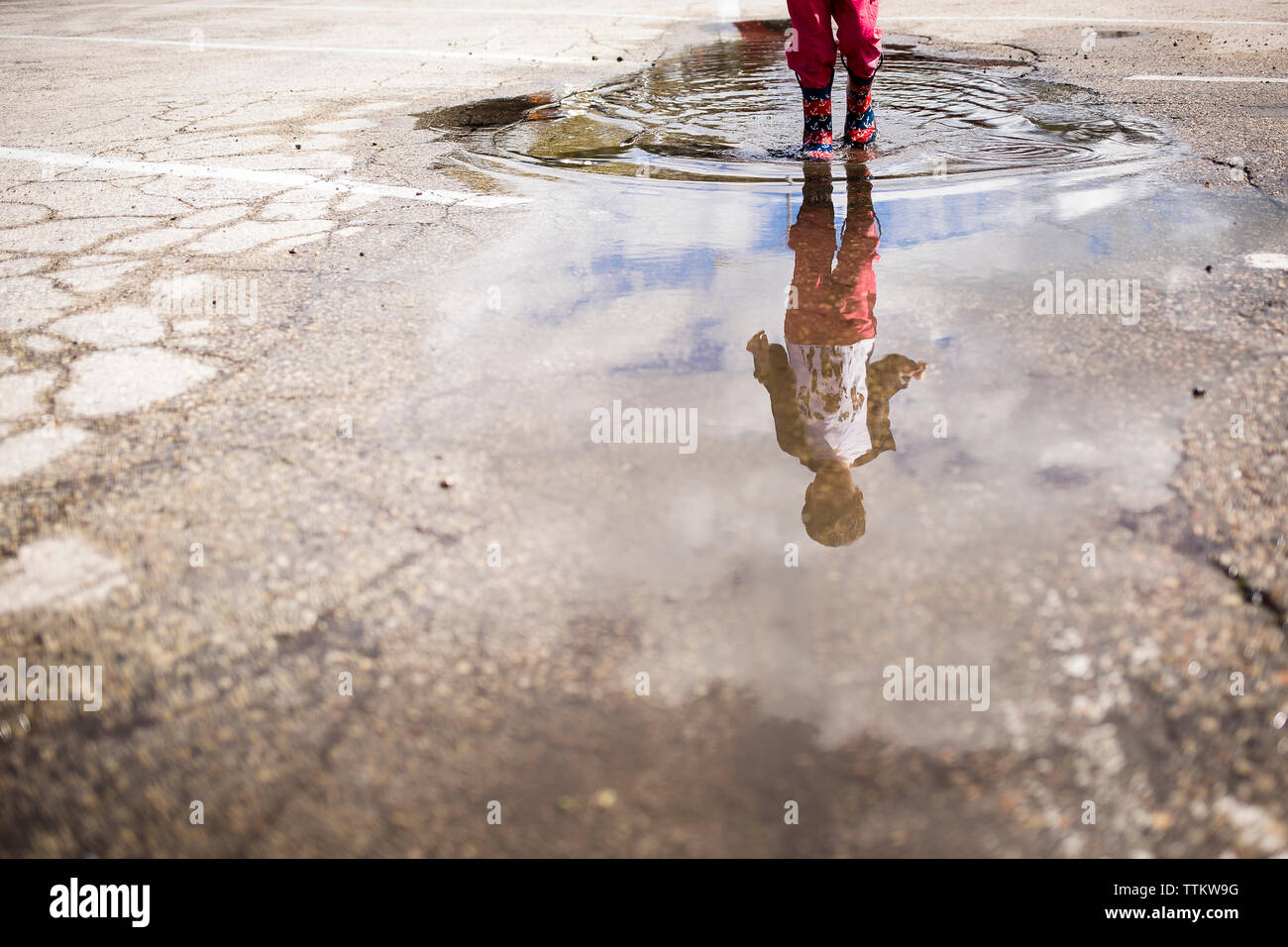 Puddle legs hi-res stock photography and images - Alamy